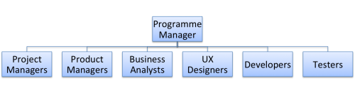 Programme Organisation for Software Delivery | It's a Delivery Thing